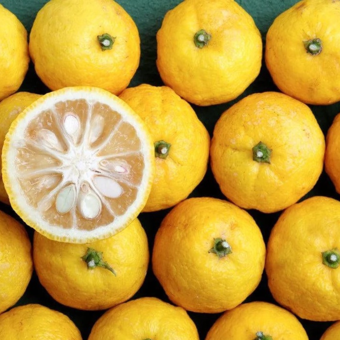 Fukushima Market | Shishi Yuzu and Sea Salt Type – Deep South Fragrance