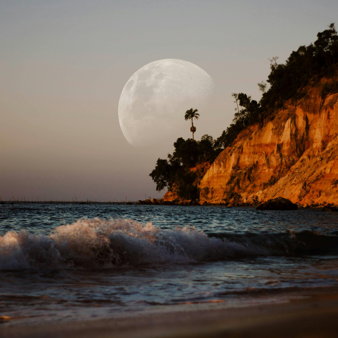 New Moon – Deep South Fragrance